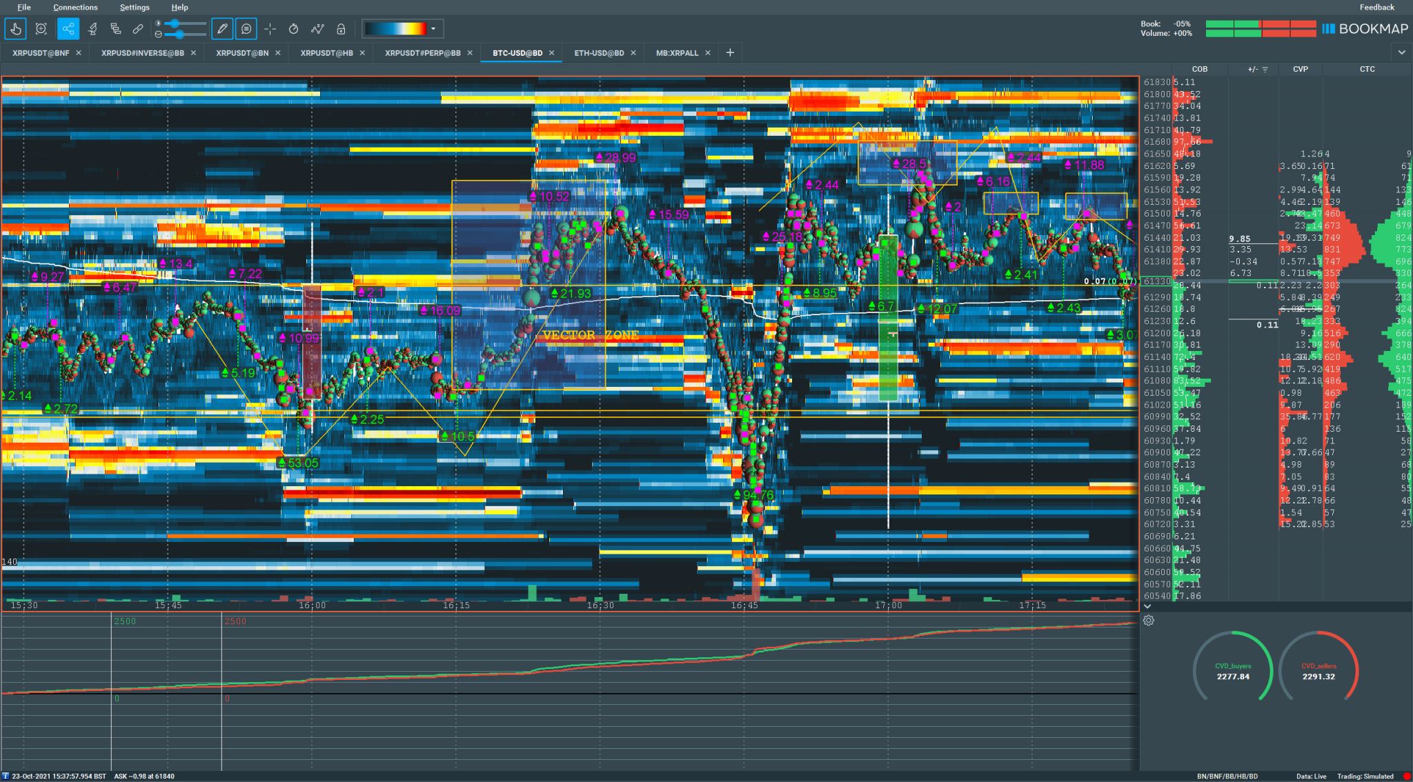 Bookmap Examples – Traders Reality